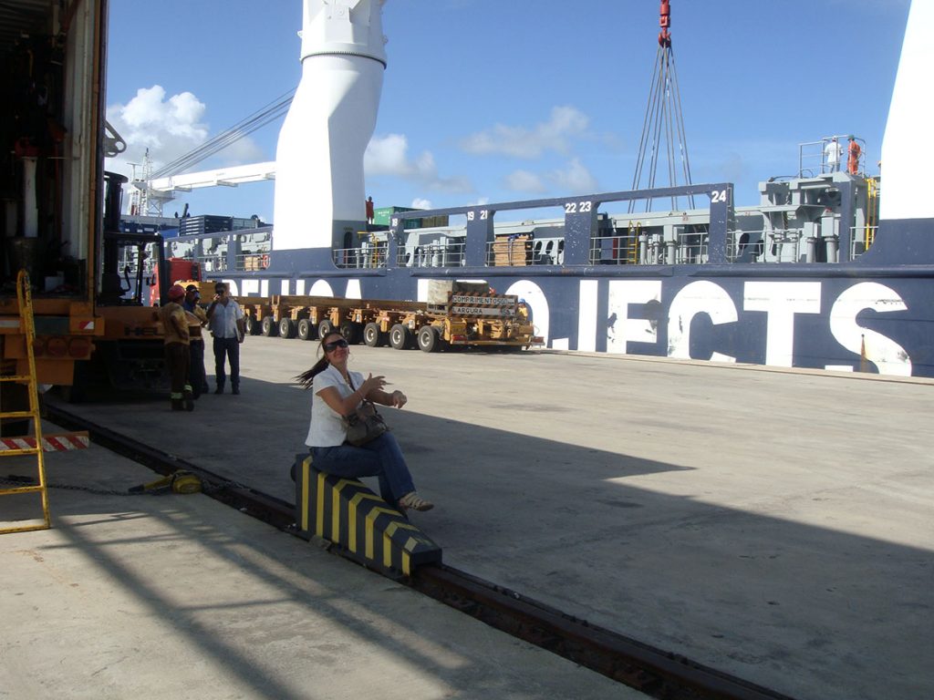 Projeto Termelétrica SUAPE II – Logimex